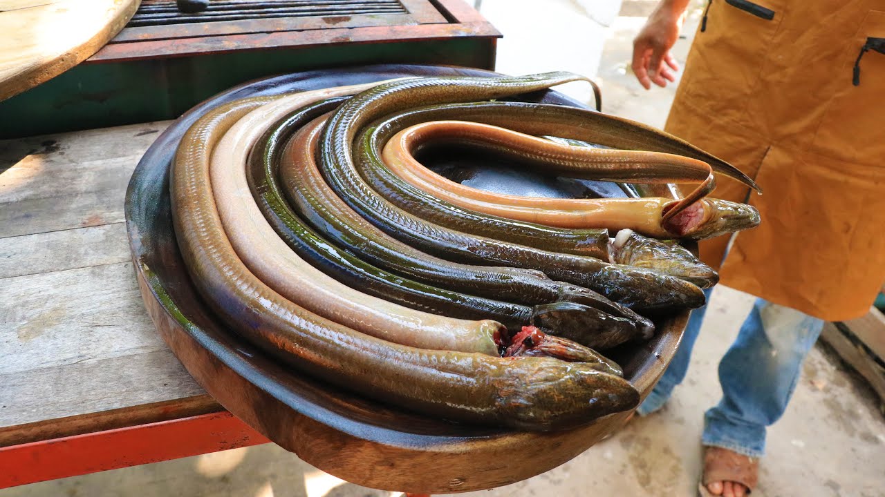 How To cook Eels Soup - YouTube