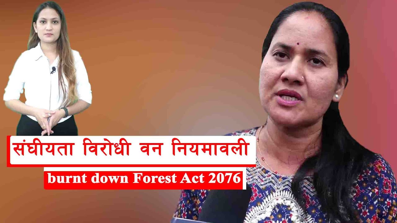 वन उपभोक्ता समूहको अधिकारलाई कुण्ठित गर्ने वन नियमावली मान्य छैन l ...