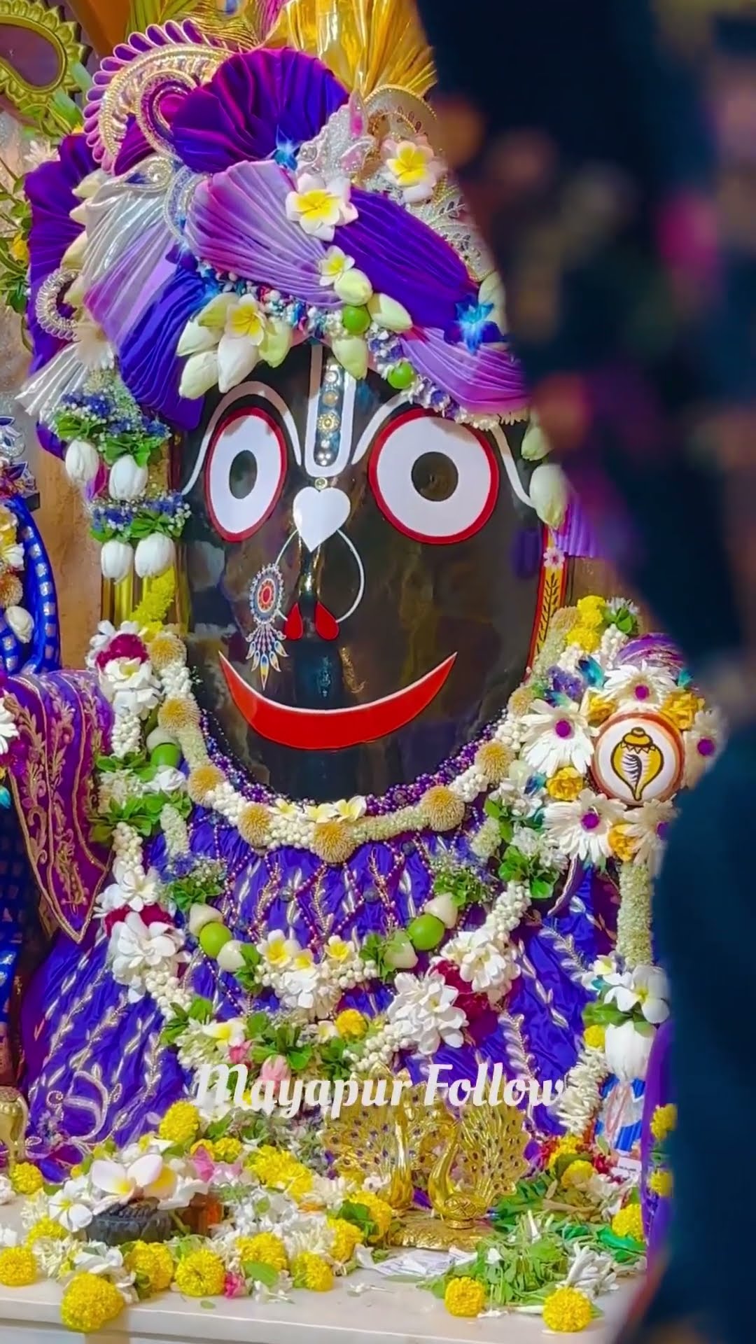Darshan of Lord Jagannath Baladev Subhadra - YouTube