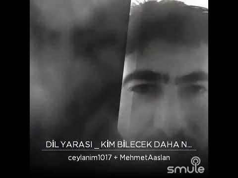 Dil yarasi