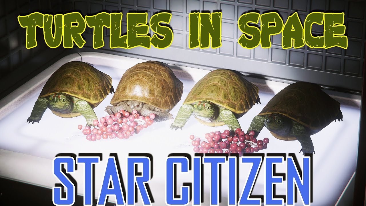 TURTLES IN SPACE: Turtle Hunting in Star Citizen All Known Locations - YouTube