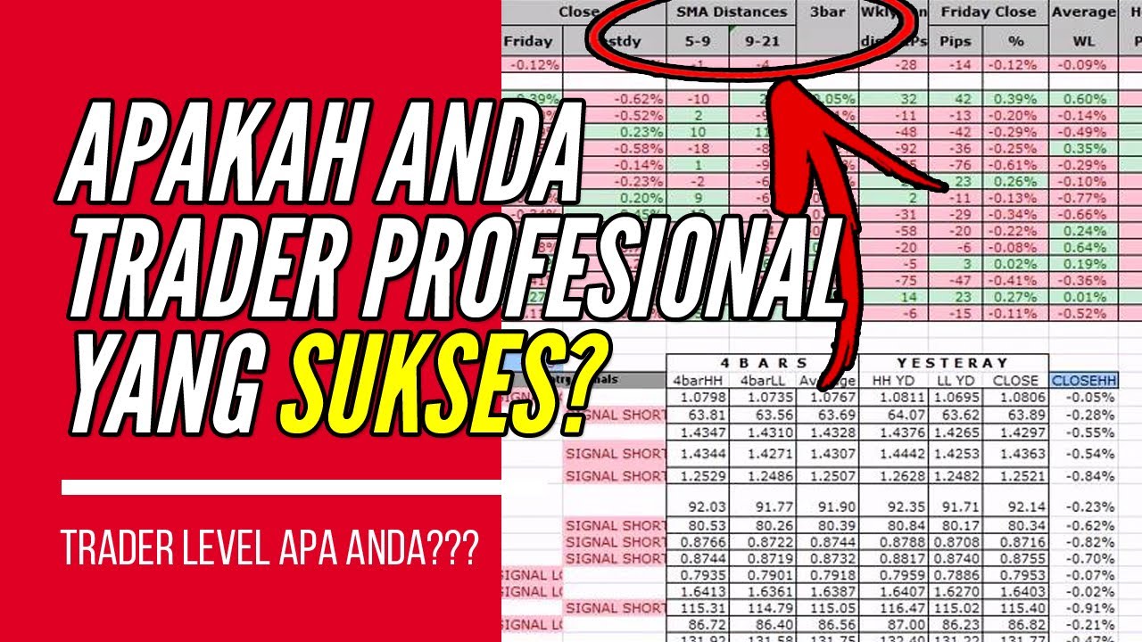 Cara Bermain Forex | Apakah Anda Profesional Trader Yang SUKSES ...