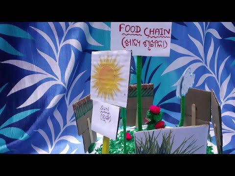 How To Make Science Project FOOD CHAIN Model - YouTube