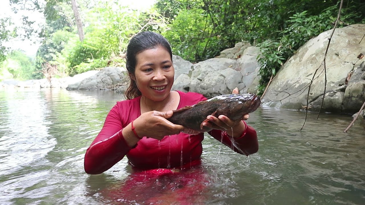 Survival skills: Finding & meet elephant fish for food - Burn elephant ...
