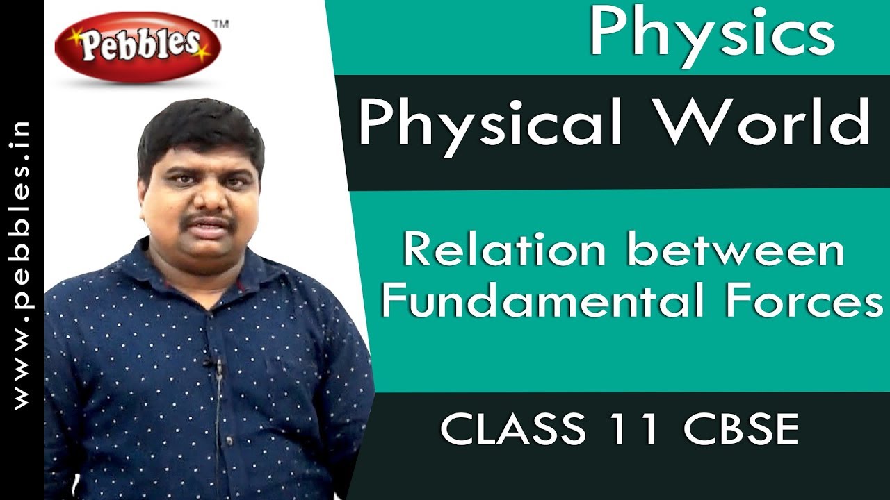 Relation between Fundamental Forces : Physical World | Physics | Class ...