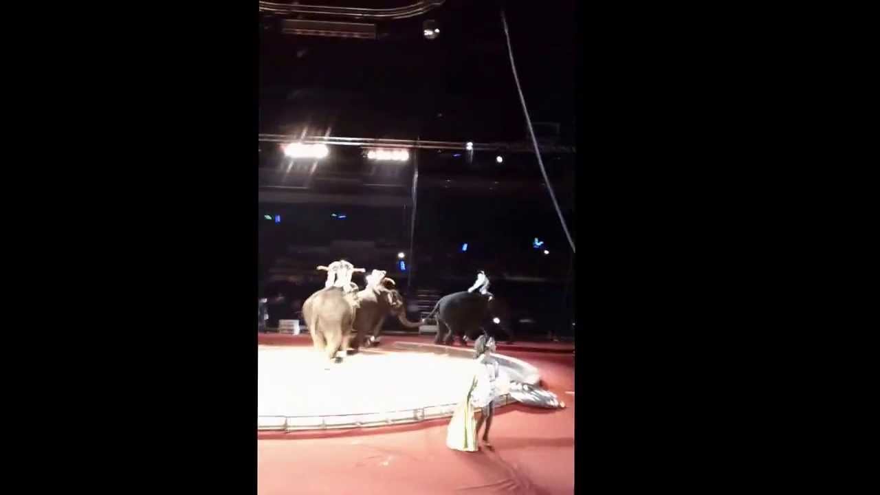 shrine circus introduction - YouTube