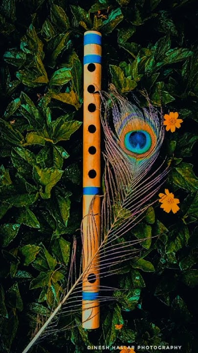 ️Radha krusna ️ songhttps://www.instagram.com/explore/tags ...