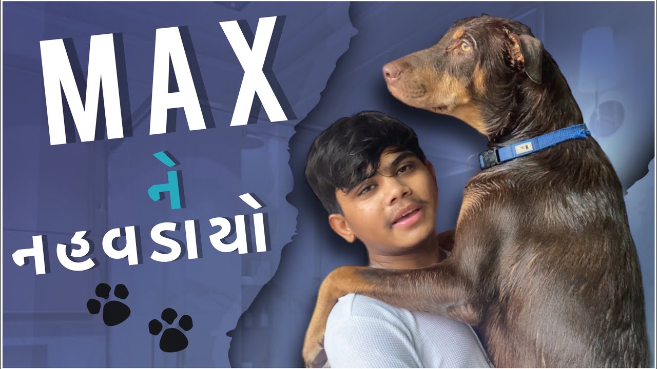 Max ને નહવડાયો | આજે જગડો થયો ॥ aman solanki - YouTube