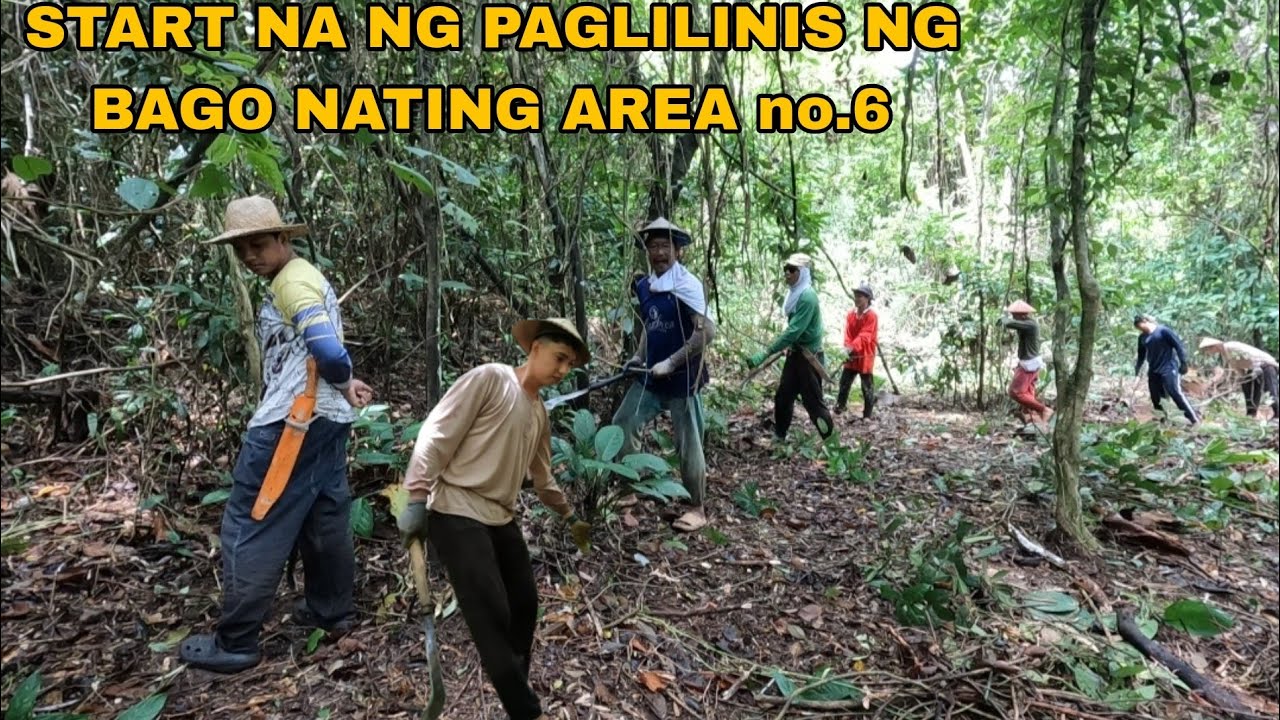 PAGBUBUKAS NG BAGONG AREA No.6 🌾 PAGTATABAS KASAMA NATING ANG MGA ...