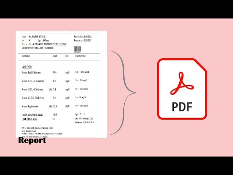PDF Report - How to save Report as PDF to send by WhatsApp or email ...