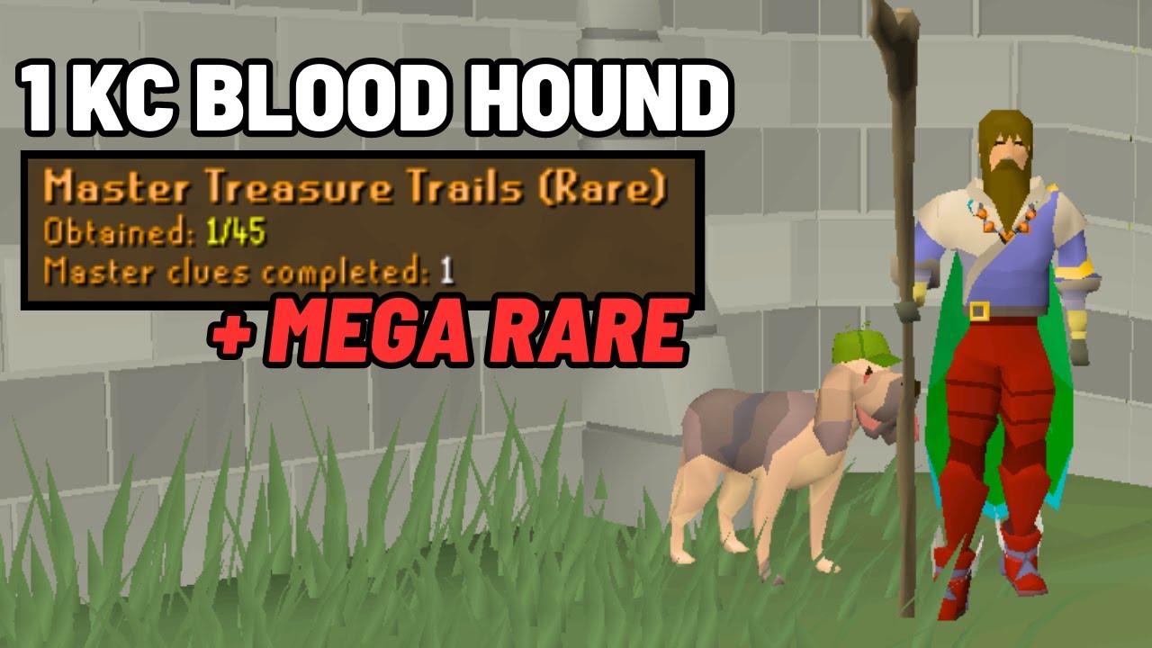 Building The Most Unique OSRS Collection Log | Old School RuneScape ...