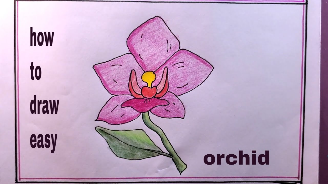 How to Draw Orchid Flower Easy/Orchid Flower Drawing - YouTube