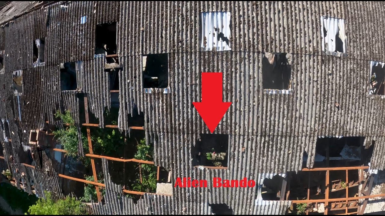 Alien Bando - FPV Halifax - YouTube