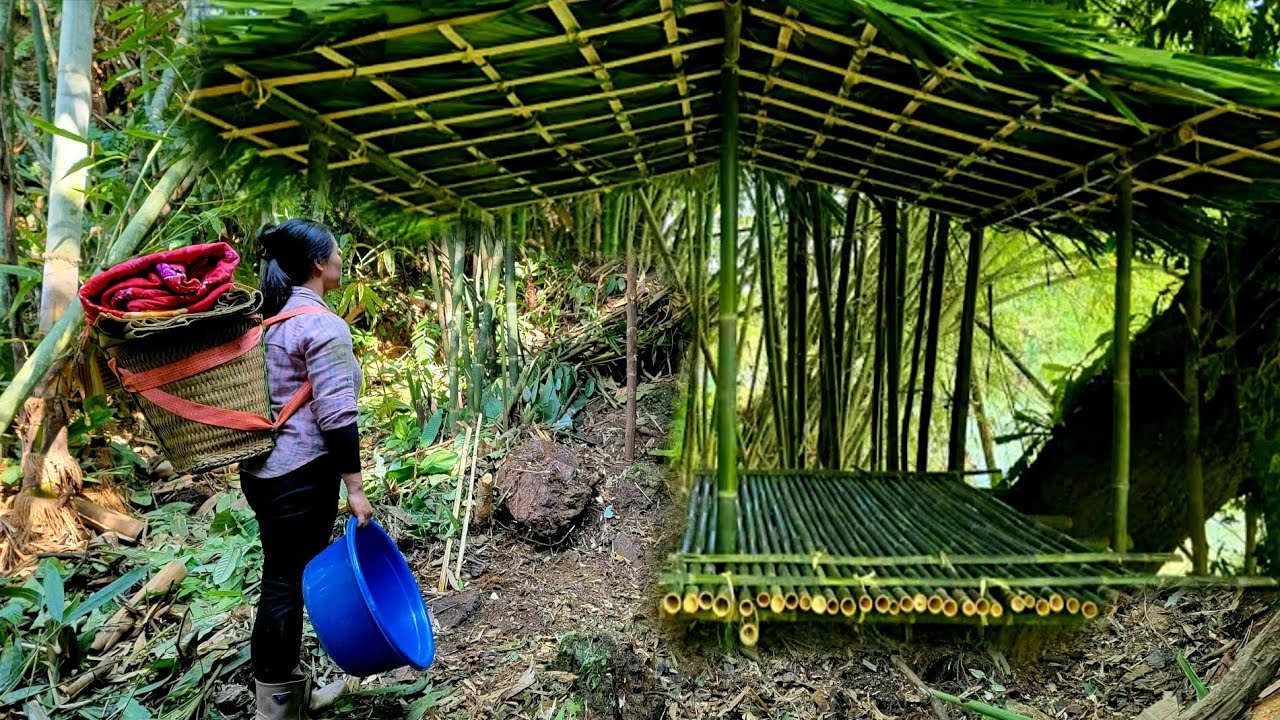 The young girl decided to build a small bamboo hut in the forest as a ...