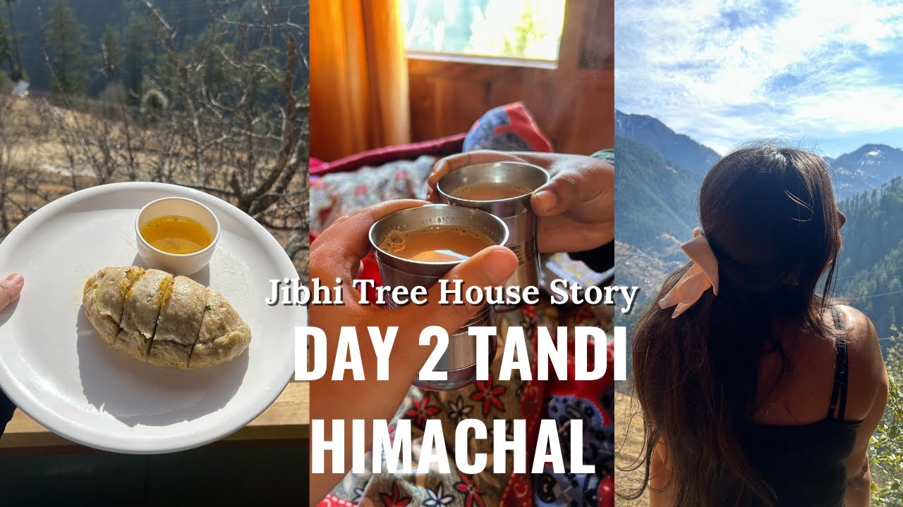 Day 2 Tandi Jibhi | Siddu Himachali Traditional Food | A Day well spend ...