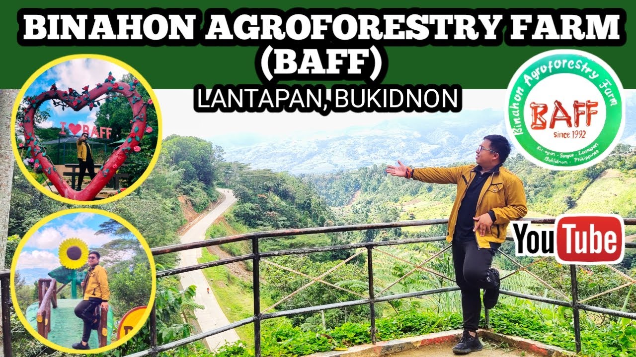 BINAHON AGROFORESTRY FARM (BAFF) | Lantapan, Bukidnon - YouTube