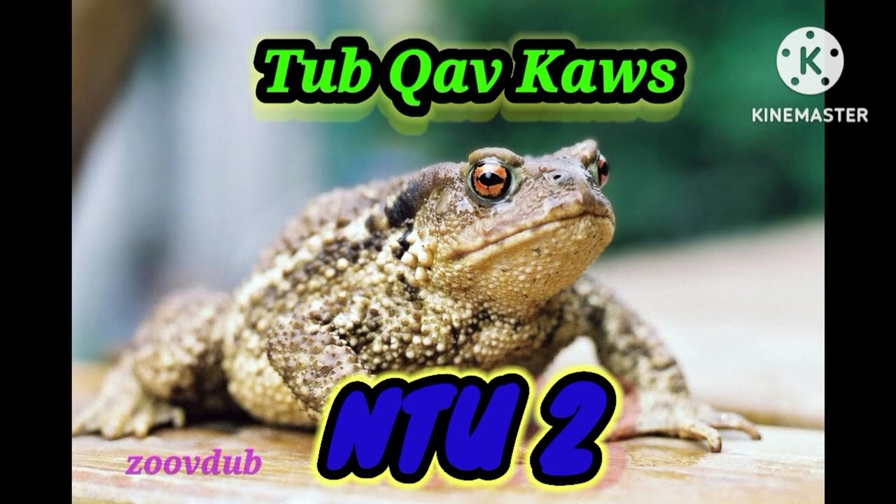 Dab Neeg Tub Qav kaws ntu 2 - YouTube