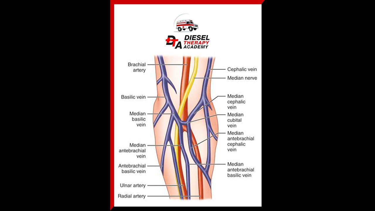 How to Start an IV - Detailed How To Step By Step Video - YouTube