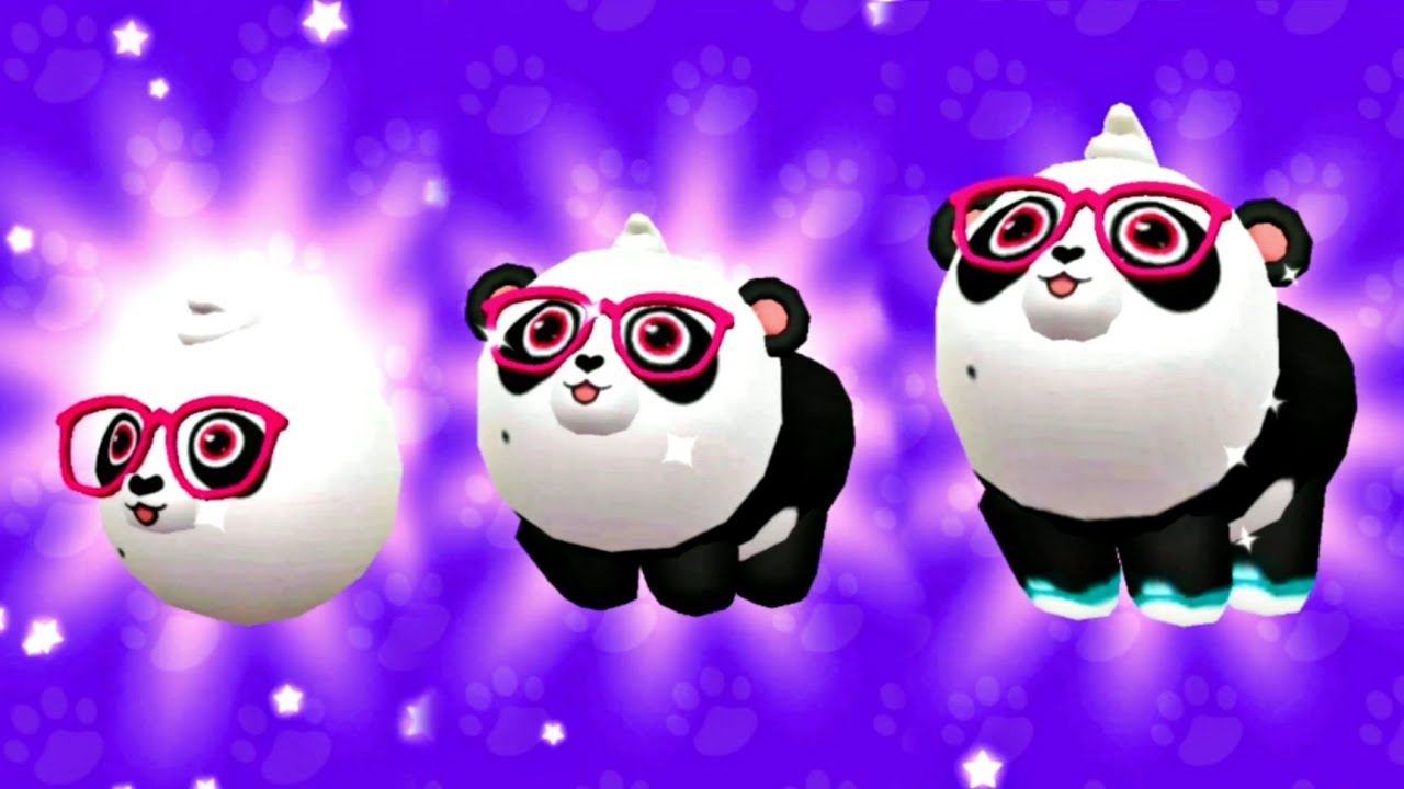 PK XD | EVOLUÇÃO DO PANDA ATÉ O NÍVEL MÁXIMO!! Tia Nanda - YouTube
