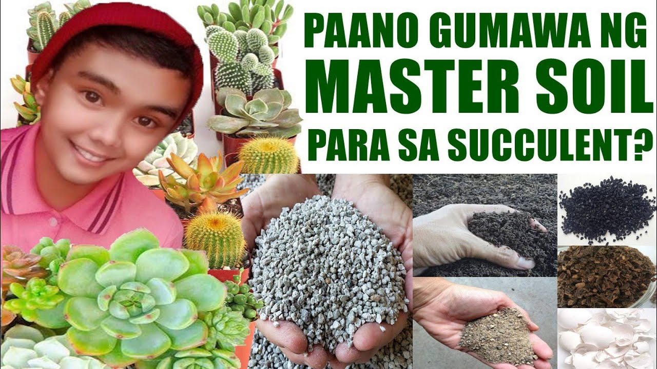 Perfect DIY Soilmix For Succulent | L.A. Simon - YouTube