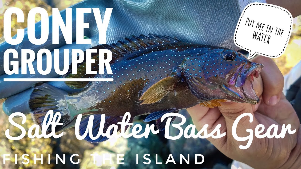 Salt Water Fishing With Bass Gear/Feat 100x35 PR Fishing - YouTube