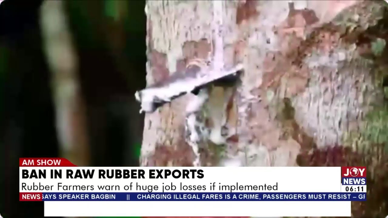 Ban on Raw Rubber Exports: Rubber Farmers warn of huge job losses if ...
