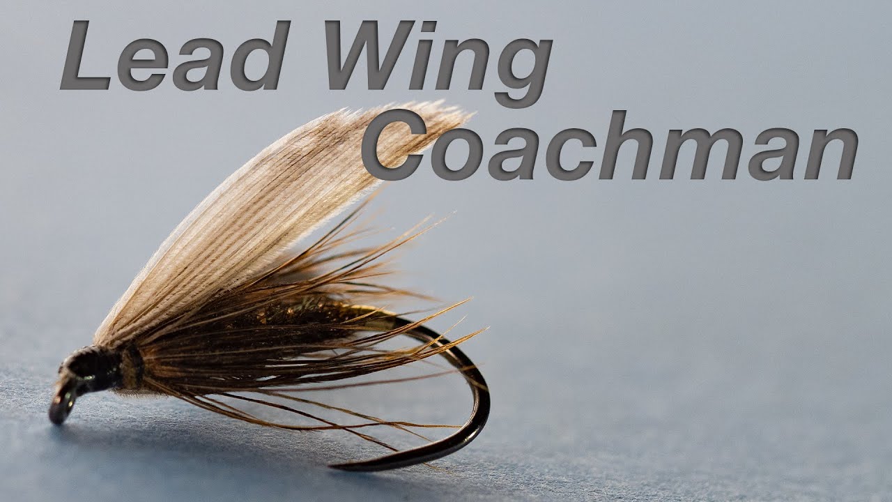 Lead Wing Coachman - YouTube
