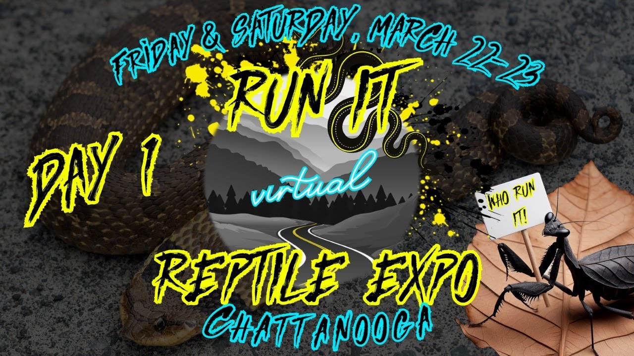 RUN IT Reptile Expo's March Sale Event Stream! Live at Repticon ...