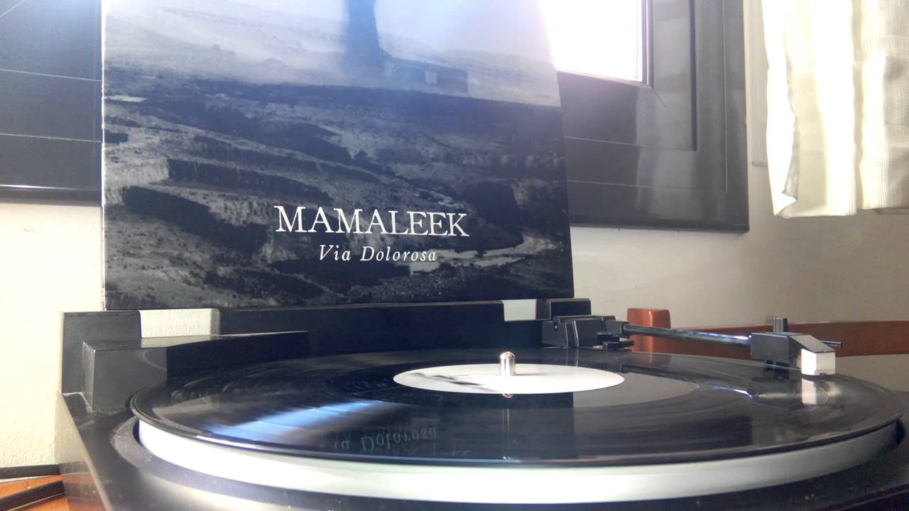 MAMALEEK / Nothing but Loss - YouTube