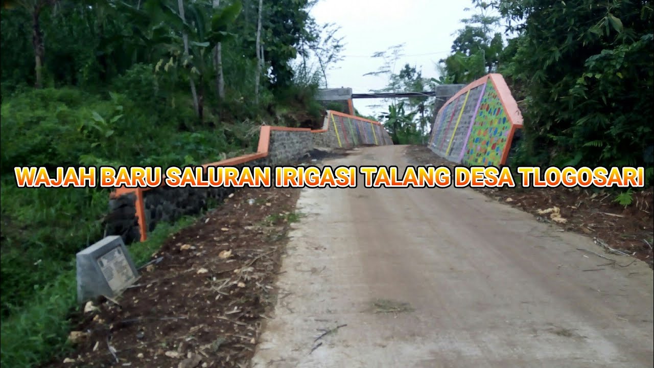 Wajah baru saluran irigasi talang desa Tlogosari - YouTube