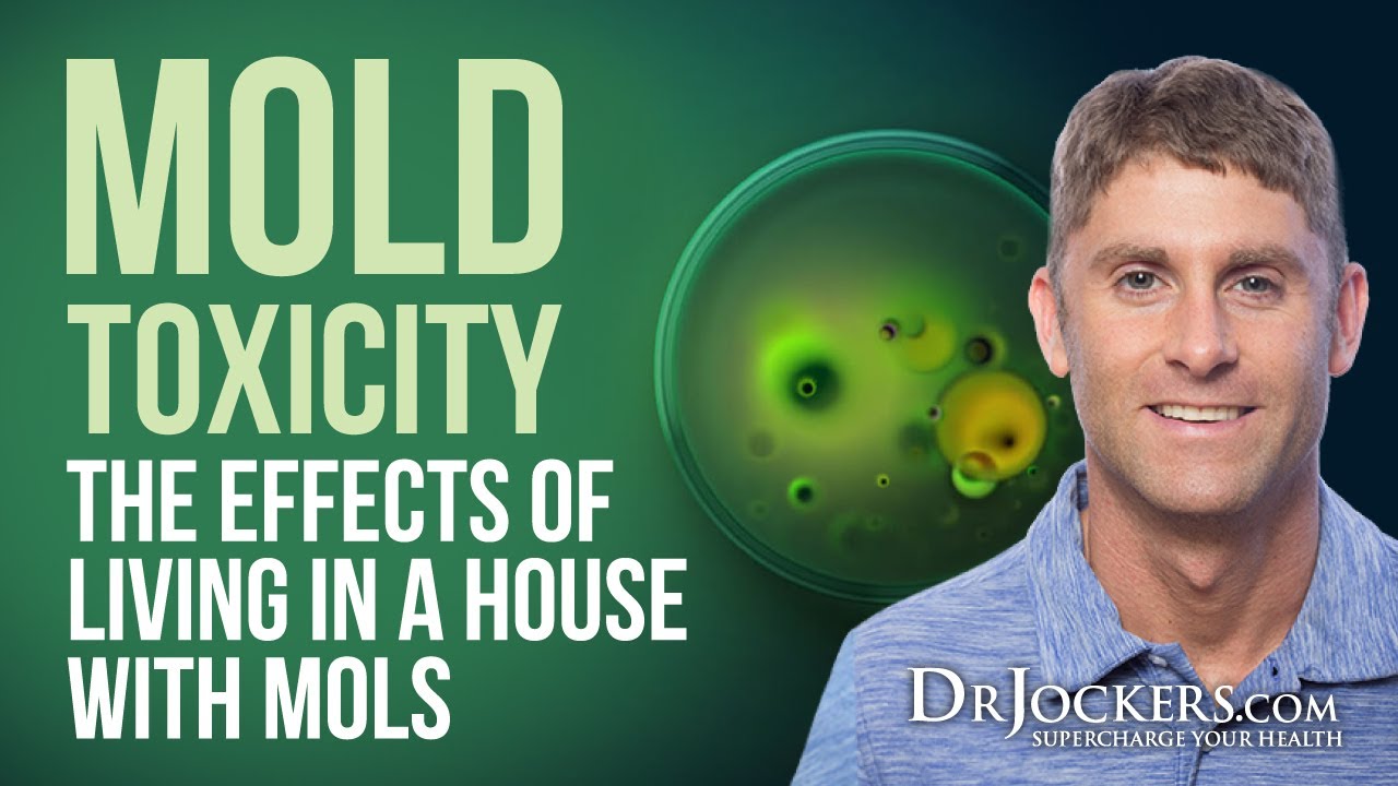 Mold Toxicity: The Effects of Living in a House with Mold - YouTube