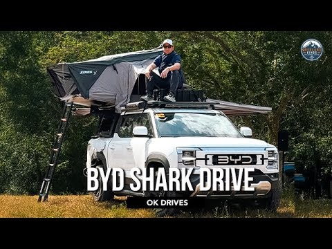 The Sharks are out for a drive | BYD Shark media drive - YouTube