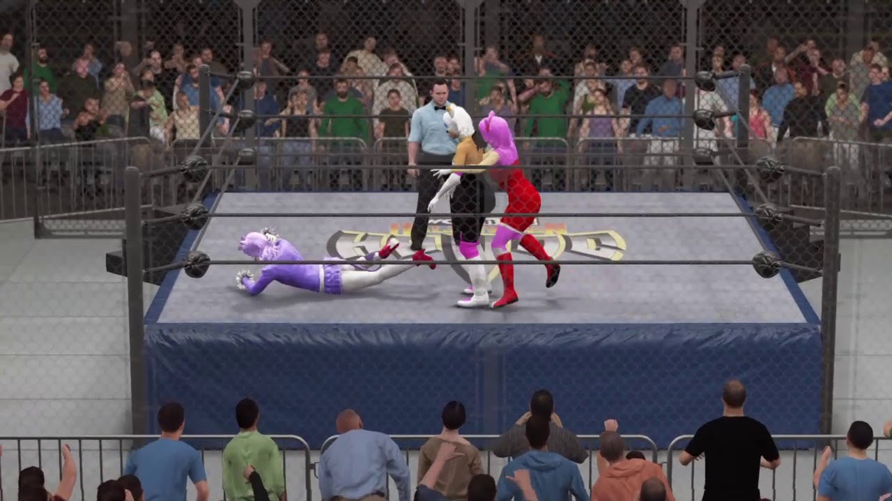 Amy Rose vs. Rouge vs. Blaze in a Hell in a Cell Match - YouTube