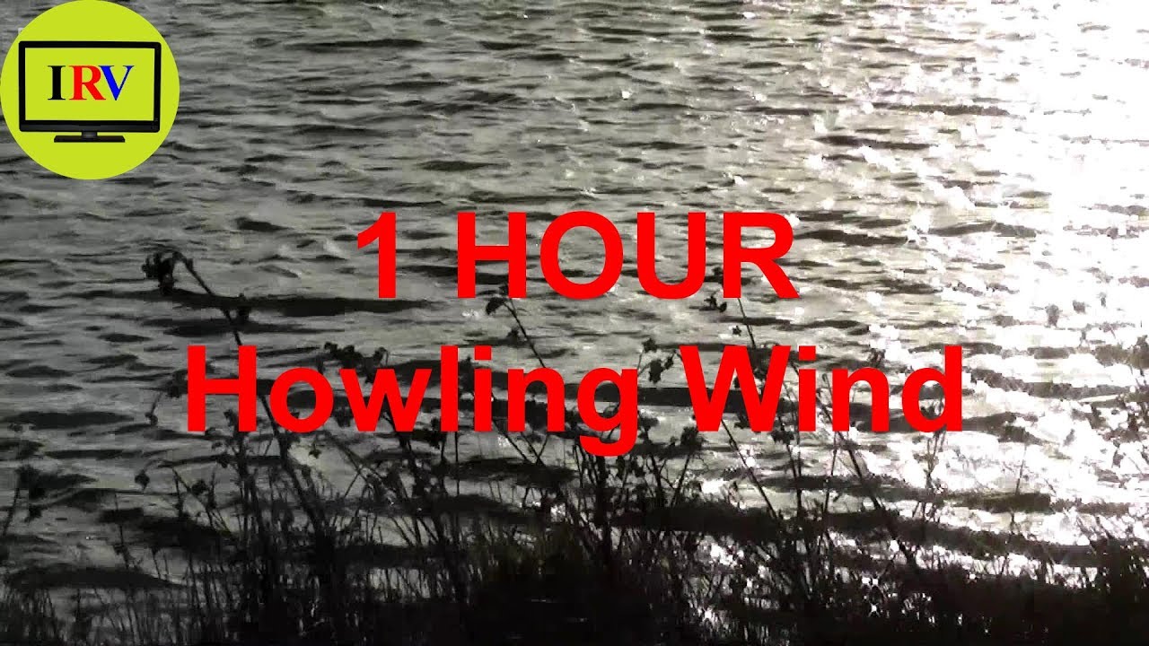Howling Wind Nature Sounds (Sound Effect) 1 Hour Relax Sleep Sounds ...