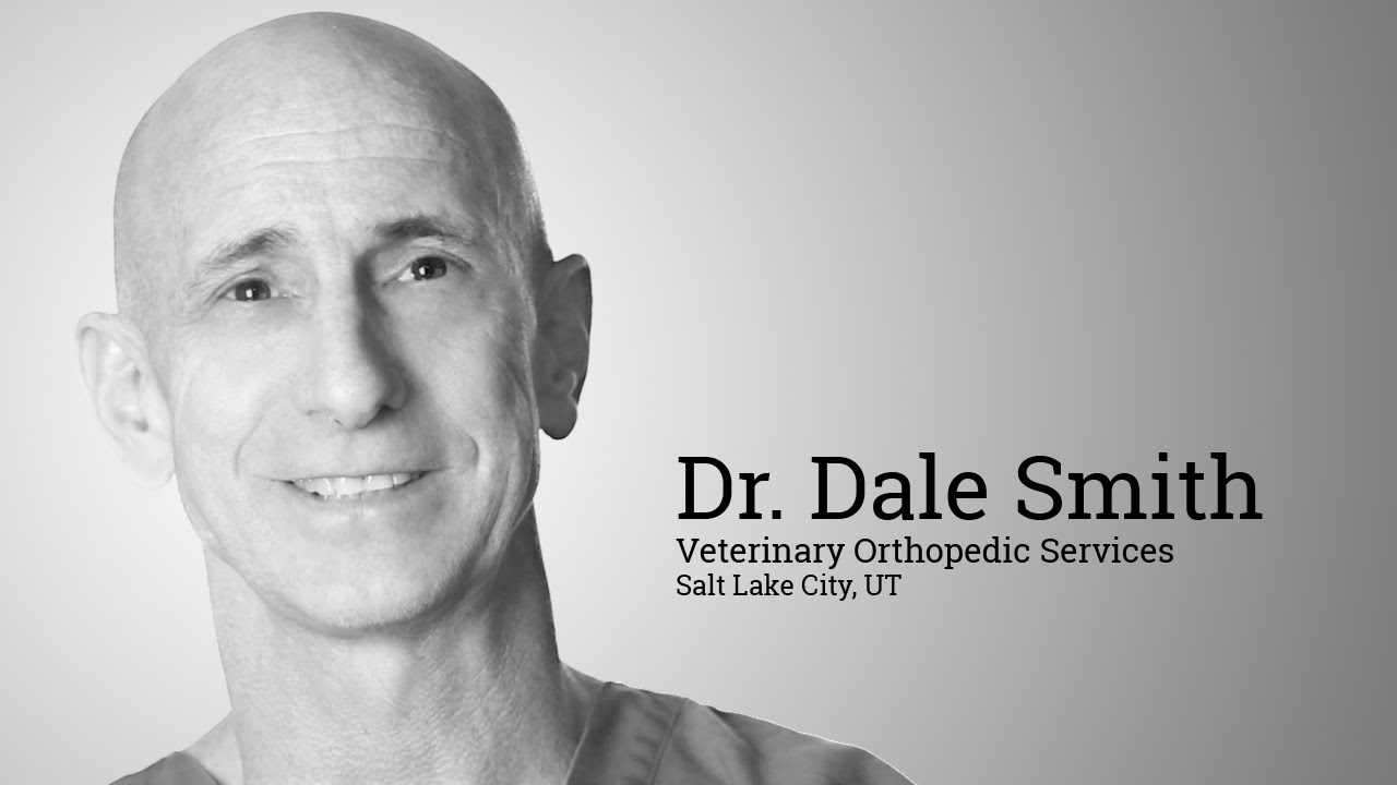 Dr. Dale Smith - Veterinary Orthopedic Services, Salt Lake City - YouTube