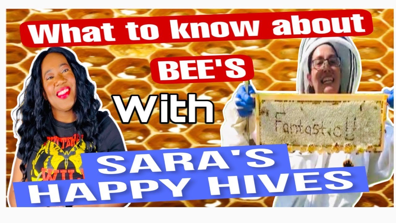 WHAT TO KNOW ABOUT BEE’S / SARA’S HAPPY HIVES - YouTube
