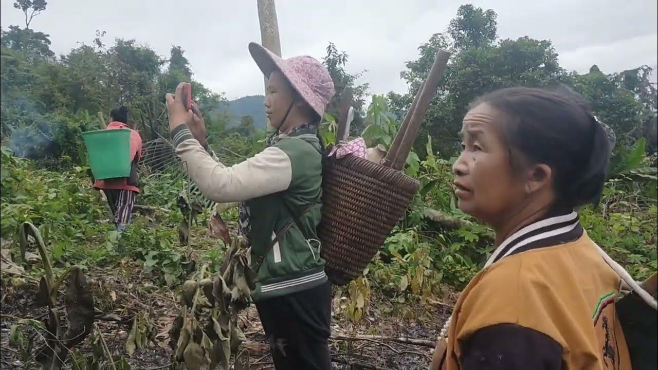 hnub no mu them teb cog pob kw os cov phooj ywg aws pab saib thiab nawb - YouTube