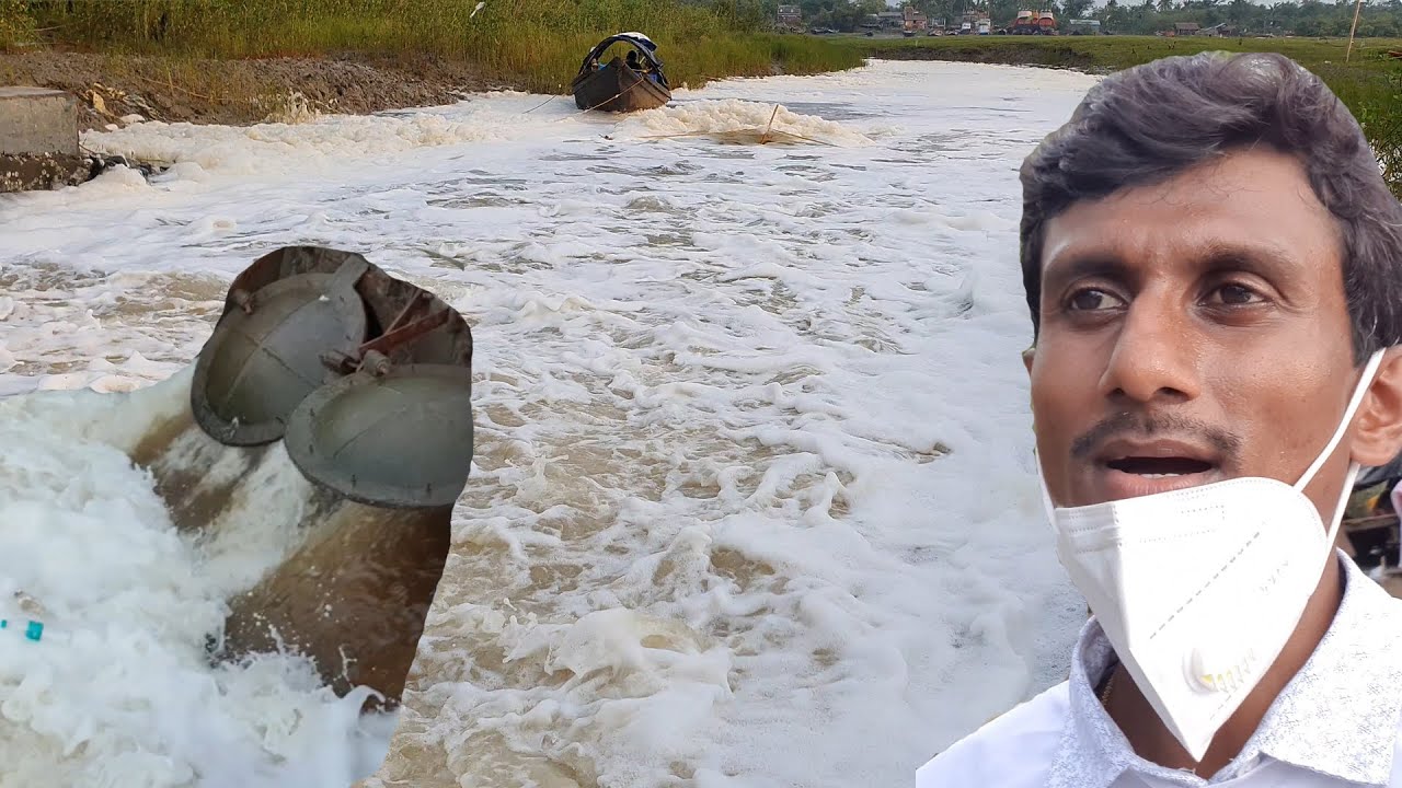 Bird Lover Doing Social Responsibility Standing By The Sundarban Flood ...