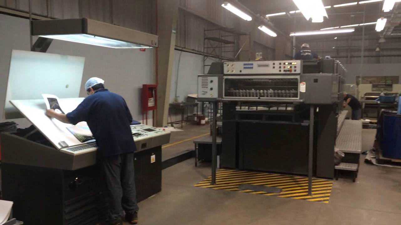 Diseko Soluciones - YouTube