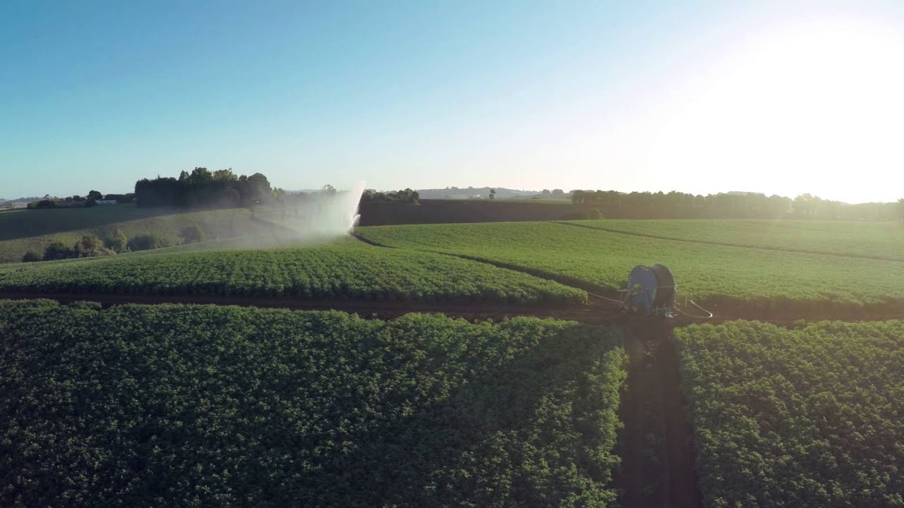 Idrofoglia IG3 Irrigator - YouTube