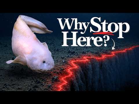 Why No Fish Can Reach the Bottom of the Mariana Trench