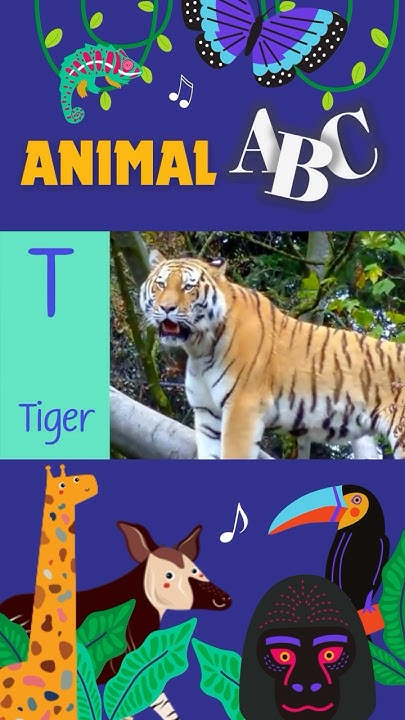 Animal ABC Song for Children - Learn Alphabet with Animals for Toddlers ...