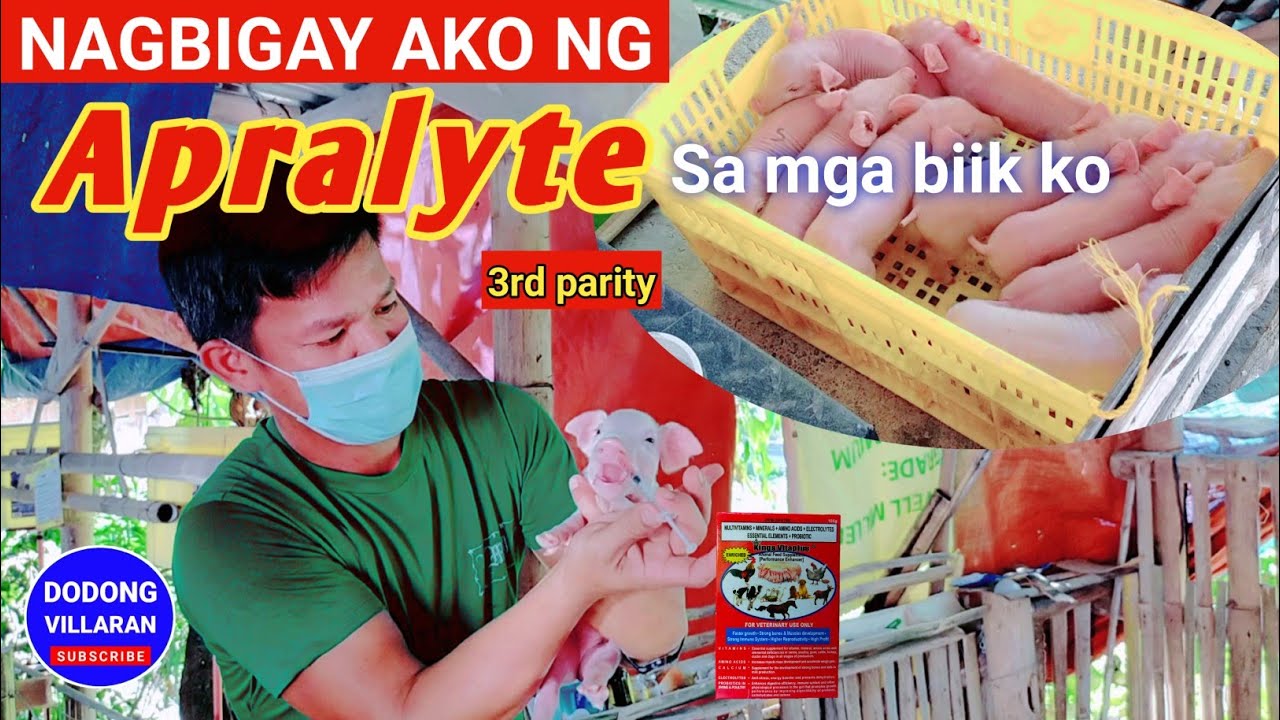 NAGBIGAY AKO APRALYTE SA MGA BIIK KO / Dodong Villaran / 3rd parity ...