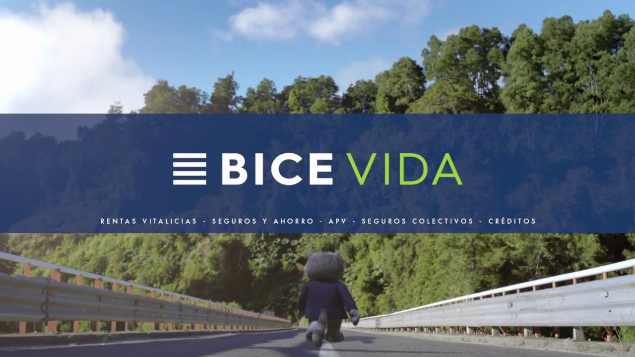 BICE VIDA escucha los consejos de los que saben de vidas - YouTube