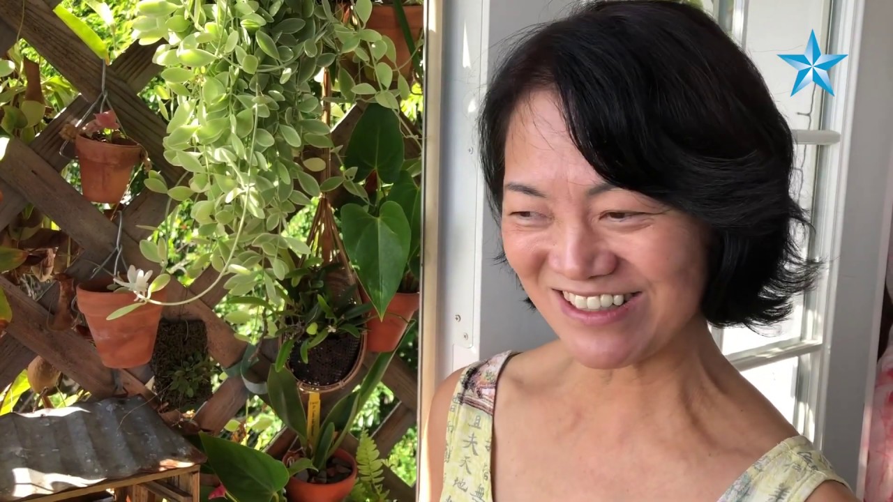 Hero Next Door: Registered nurse Kayoko Miura opens up her home to ...
