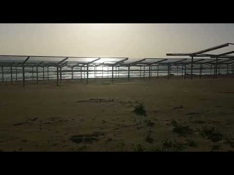 en yeni reel whatsApp status videoları (2)