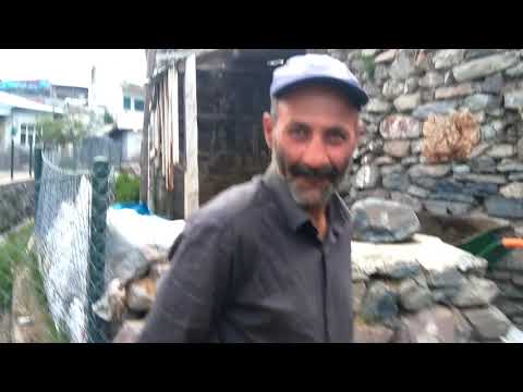 Erzurum Çat Yavi