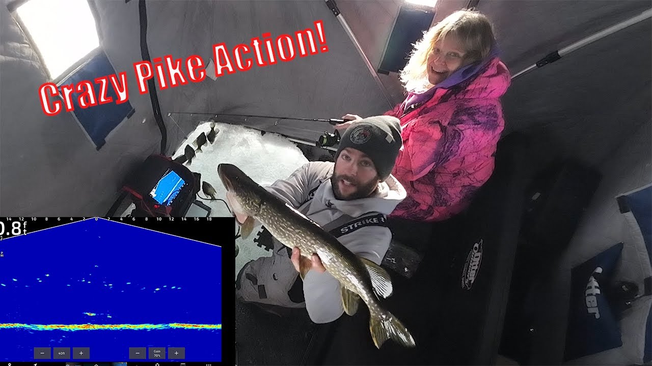 LiveScope Pike Bites – Ice Fishing for Pike with Jig Rods - YouTube