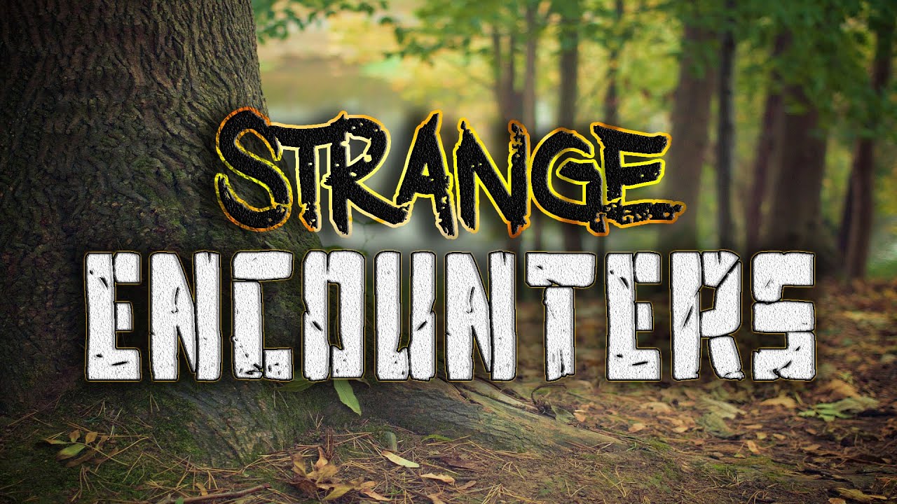 4 Totally STRANGE and Chilling Cryptid Encounters That are Wild - YouTube