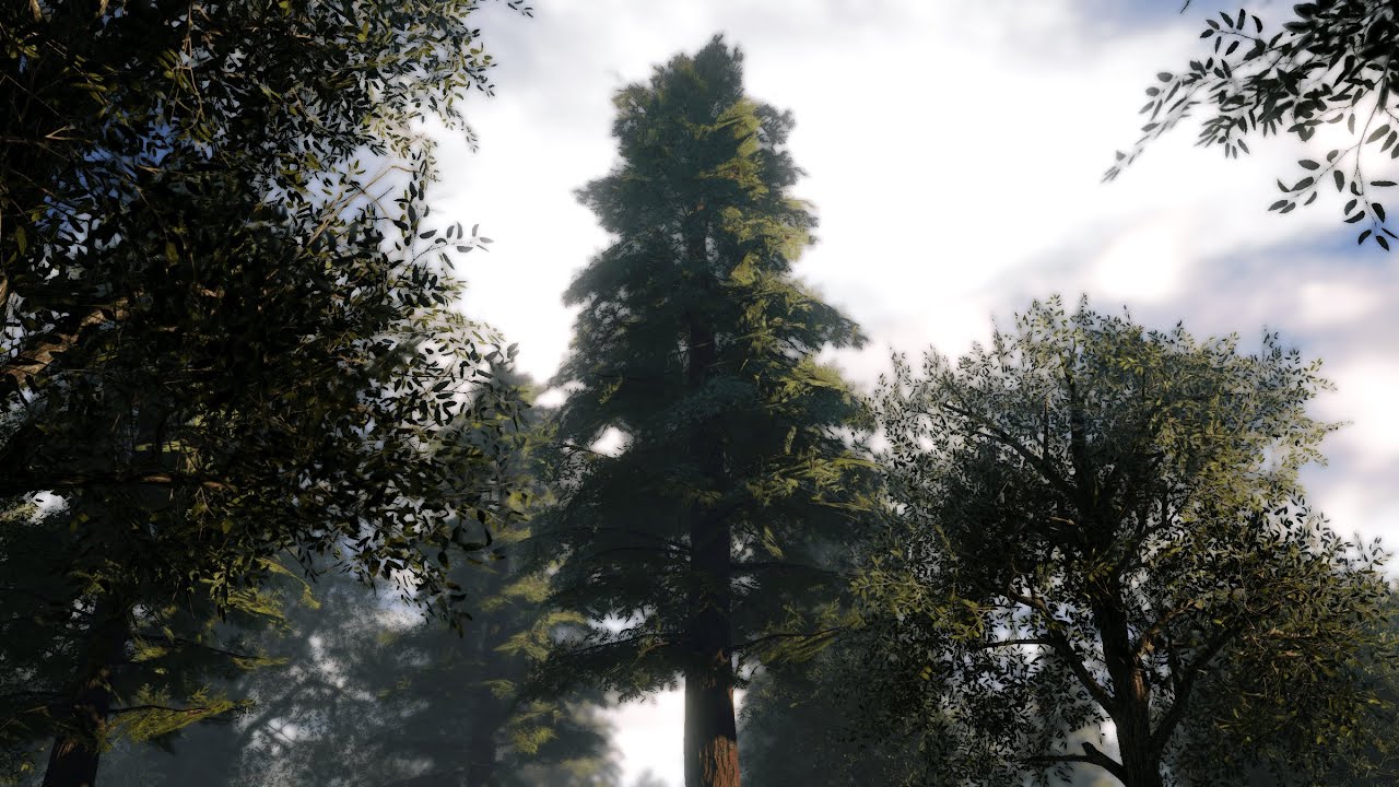 Tree | Roblox Moon Animator + Blender - YouTube